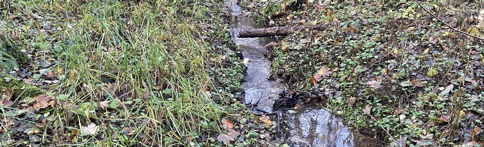 Jeksendalen - Adslev Skov: 19 Reviews, Map - Central Denmark, Denmark ...