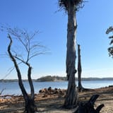 Little Gap Trail, South Carolina - 686 Reviews, Map | AllTrails