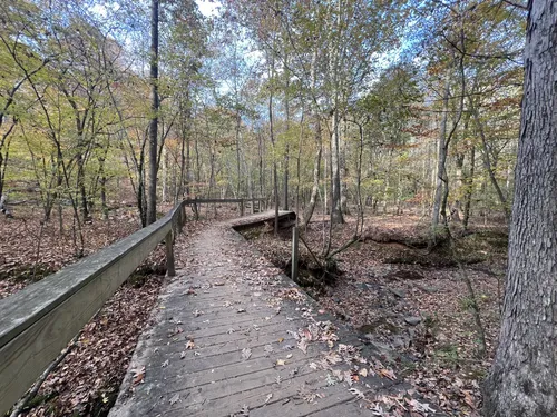 10 Best Trails and Hikes in Fort Mill | AllTrails