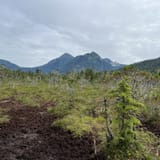 Indian River Trail, Alaska - 278 Reviews, Map | AllTrails