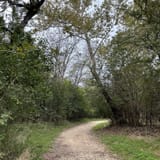 Cibolo Creek Main Trail, Texas - 570 Reviews, Map | AllTrails