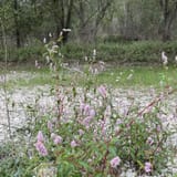 Cibolo Creek Main Trail, Texas - 570 Reviews, Map | AllTrails