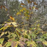 Cibolo Creek Main Trail, Texas - 667 Reviews, Map | AllTrails