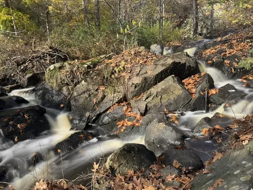 Best Hikes and Trails in Beaver Brook Reservation | AllTrails