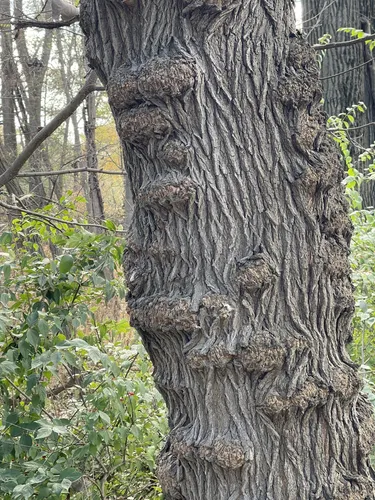 Best Hikes and Trails in Side Cut Park | AllTrails