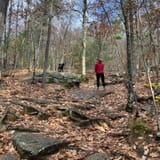 Blue Job Mountain Loop, New Hampshire - 1,892 Reviews, Map | AllTrails