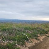 Powder Canyon Loop Trail, California - 2,244 Reviews, Map | AllTrails