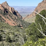 Basin Loop Trail, Texas - 931 Reviews, Map | AllTrails