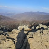 Hawksbill Loop Trail, Virginia - 4,114 Reviews, Map | AllTrails