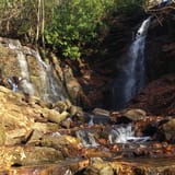 Soco Falls Trail, North Carolina - 685 Reviews, Map | AllTrails