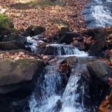 Soco Falls Trail, North Carolina - 685 Reviews, Map | AllTrails
