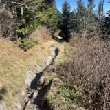 Mount Buckley via Clingmans Dome Bypass Trail, North Carolina - 886 ...