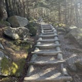 Mount Buckley via Clingmans Dome Bypass Trail, North Carolina - 886 ...
