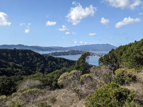 Best Hikes and Trails in Angel Island State Park | AllTrails