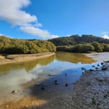 Waitangi to Haruru Falls Walk, Northland, New Zealand - 269 Reviews ...