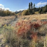 Alpine Pedal Path Trail, California - 768 Reviews, Map | AllTrails