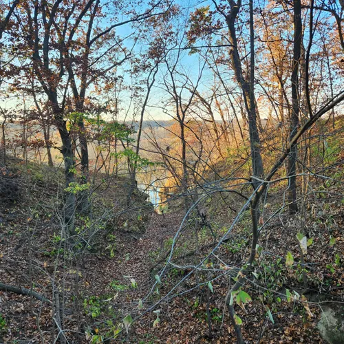 2023 Best Forest Trails in Luther | AllTrails