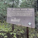 Weldon Wagon Road Trail, Washington - 532 Reviews, Map | AllTrails