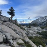 Grass Lake, California - 577 Reviews, Map | AllTrails