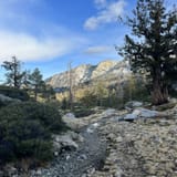 Grass Lake, California - 577 Reviews, Map | AllTrails
