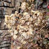 Cascade Falls, Colorado - 1,532 Reviews, Map | AllTrails