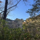 Window Cliffs Trail, Tennessee - 1,371 Reviews, Map | AllTrails