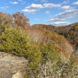 Window Cliffs Trail, Tennessee - 1,372 Reviews, Map | AllTrails