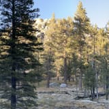 Desert View Trail, California - 1,351 Reviews, Map | AllTrails