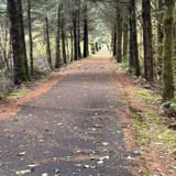 Chehalis Western Trail, Washington - 546 Reviews, Map | AllTrails