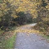 Chehalis Western Trail, Washington - 546 Reviews, Map | AllTrails