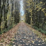 Chehalis Western Trail, Washington - 546 Reviews, Map | AllTrails