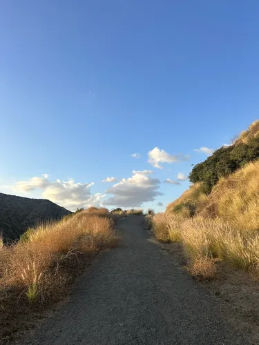 Best Hikes and Trails in Getty View Park | AllTrails