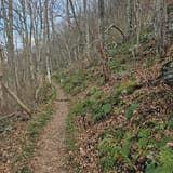 Hawksbill Loop Trail, Virginia - 4,114 Reviews, Map | AllTrails