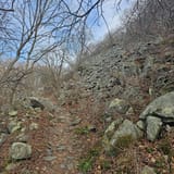 Hawksbill Loop Trail, Virginia - 4,114 Reviews, Map | AllTrails