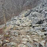 Hawksbill Loop Trail, Virginia - 4,114 Reviews, Map | AllTrails