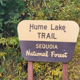Hume Lake Loop, California - 542 Reviews, Map | AllTrails