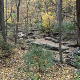 Matthiessen State Park River Trail, Illinois - 573 Reviews, Map | AllTrails