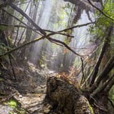 Overland Track: Kia Ora to Windy Ridge (Bert Nichols Hut), Tasmania ...