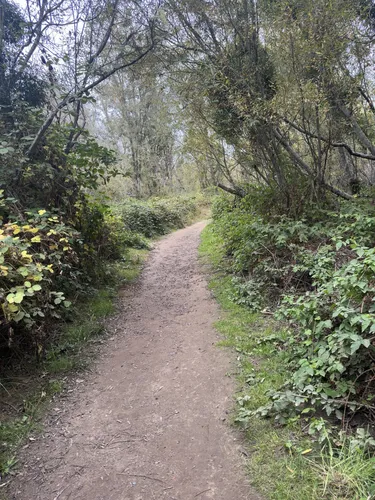 Best Hikes and Trails in Ragle Ranch Regional Park | AllTrails