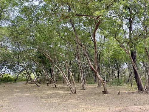 10 Best Kid Friendly Trails in Pune | AllTrails