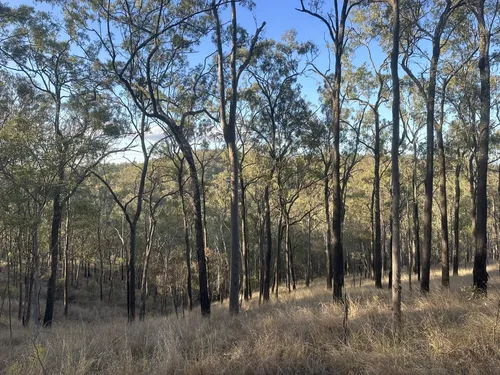 10 Best Hikes and Trails in Samford Conservation Park | AllTrails