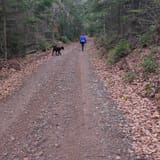 Parlee Brook Amphitheatre Trail, New Brunswick, Canada - 203 Reviews ...