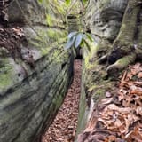 Rock Maze Trail, Maryland - 645 Reviews, Map | AllTrails