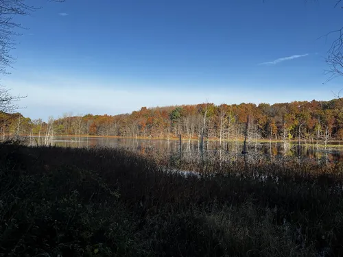 2023 Best Forest Trails in Mattawan | AllTrails