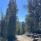 Abyss Trail to Helms Lake, Colorado - 2,622 Reviews, Map | AllTrails