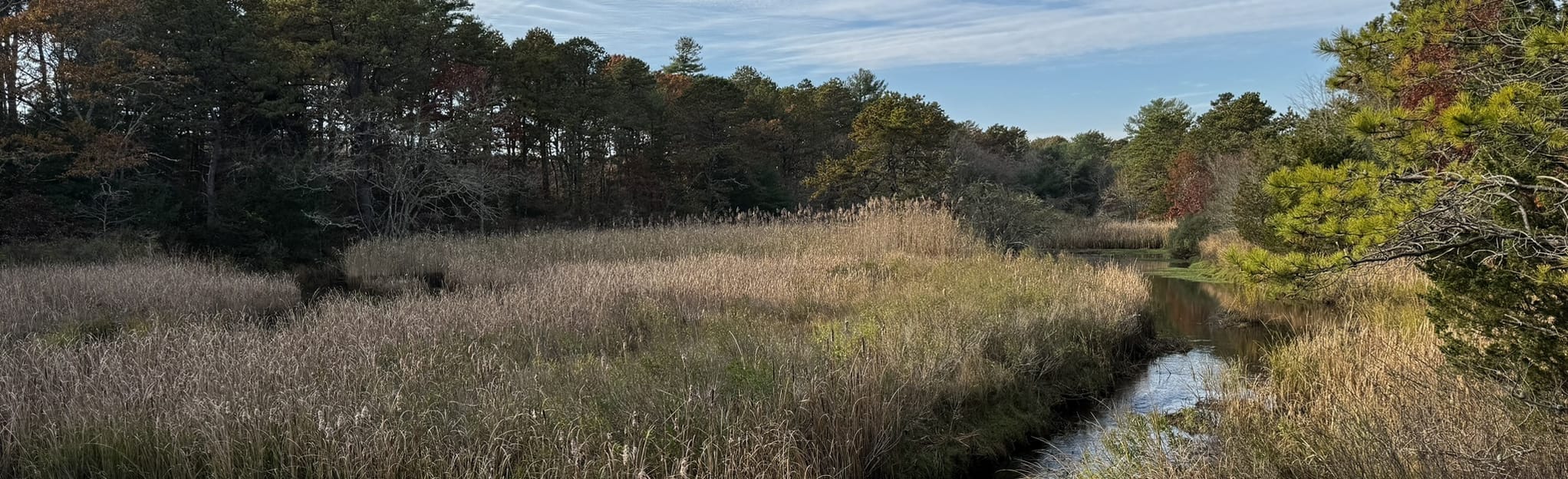 Red Brook Trail Network Turtle Trail, Massachusetts - 5 Reviews, Map ...