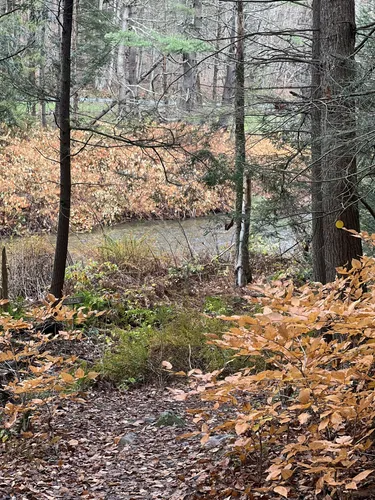 2023 Best Views Trails in Mill River | AllTrails