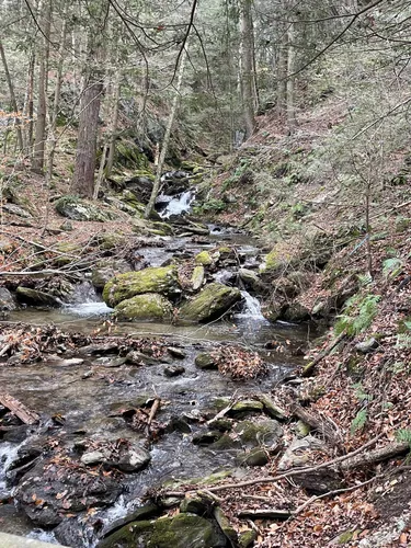 Best Hikes and Trails in Stevens Glen Reserve | AllTrails