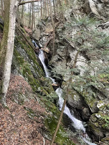 Best Hikes and Trails in Stevens Glen Reserve | AllTrails