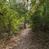 Allison Park Loop, New Jersey - 954 Reviews, Map | AllTrails